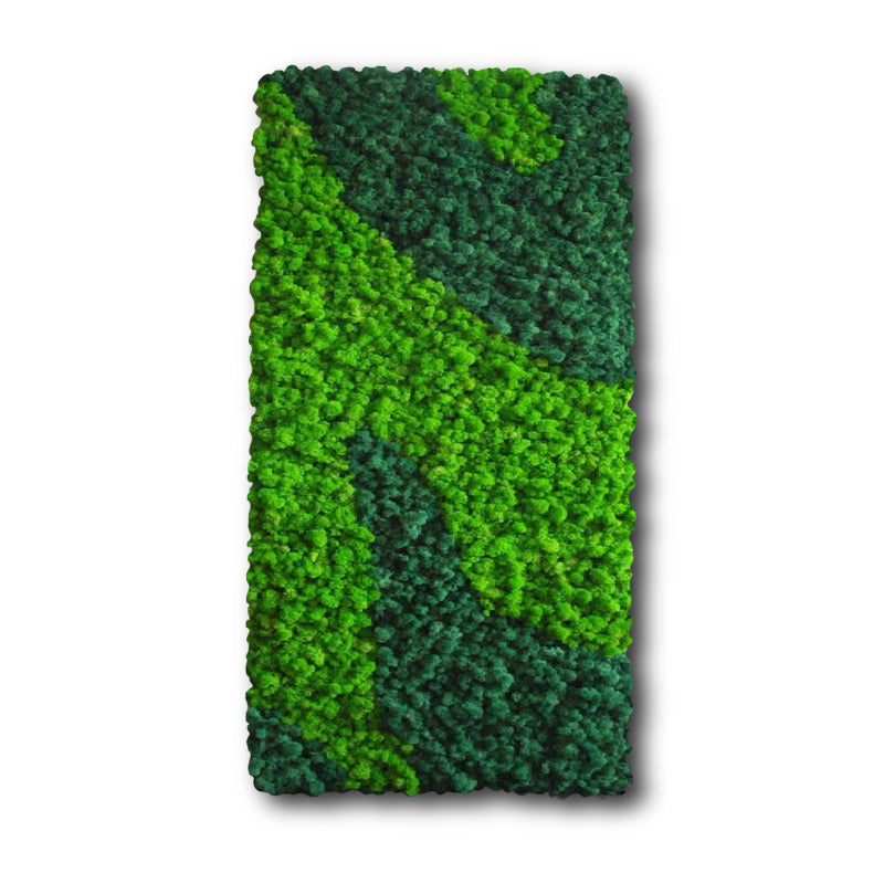 Individual project Preserved Moss Panels with Decorative Patterns ...